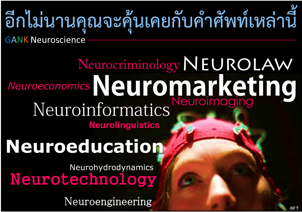 ประสาทวิทยาศาสตร์ Neuroscience – ดร.แกง